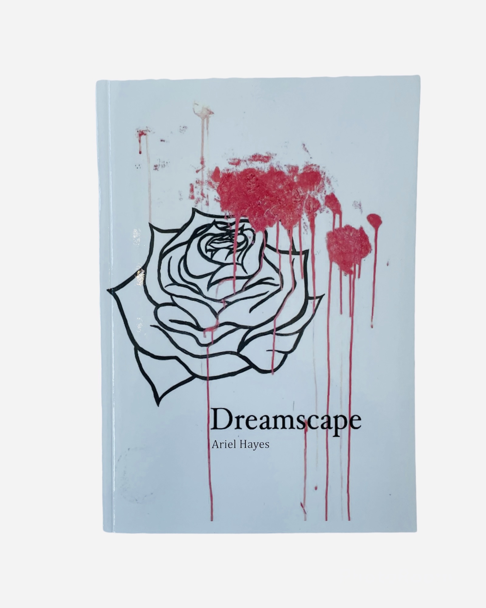 "Dreamscape" by Ariel Hayes - Columbia College Chicago
