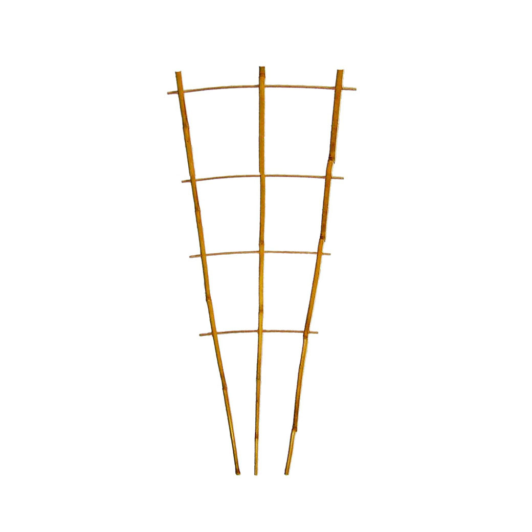48" Bamboo Fan Trellis - Livingstone Outdoor
