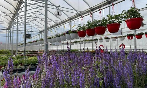 Livingstone Outdoor - Livingstone Outdoor Ltd.