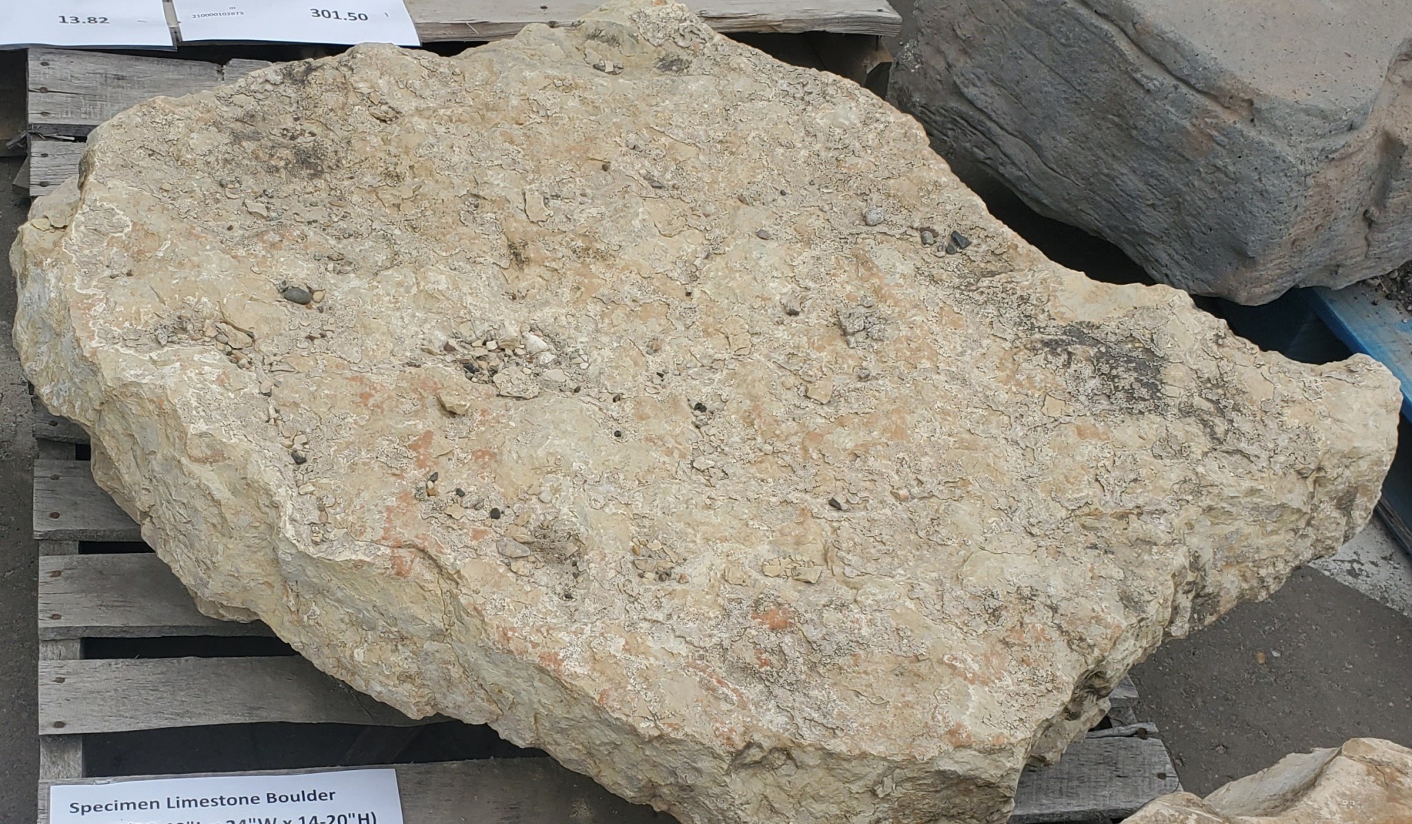 Specimen Limestone Boulder - Livingstone Outdoor