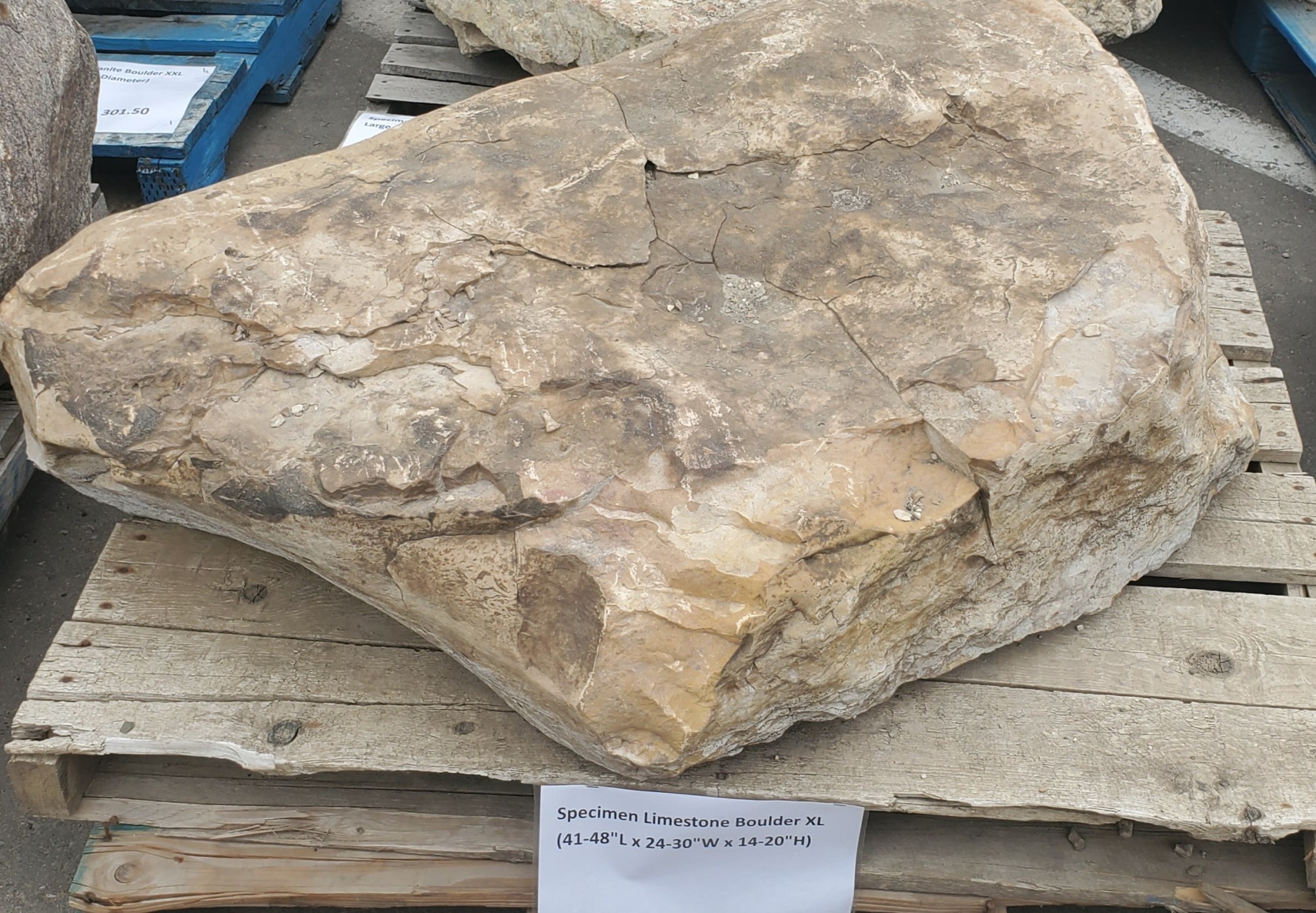 Specimen Limestone Boulder - Livingstone Outdoor
