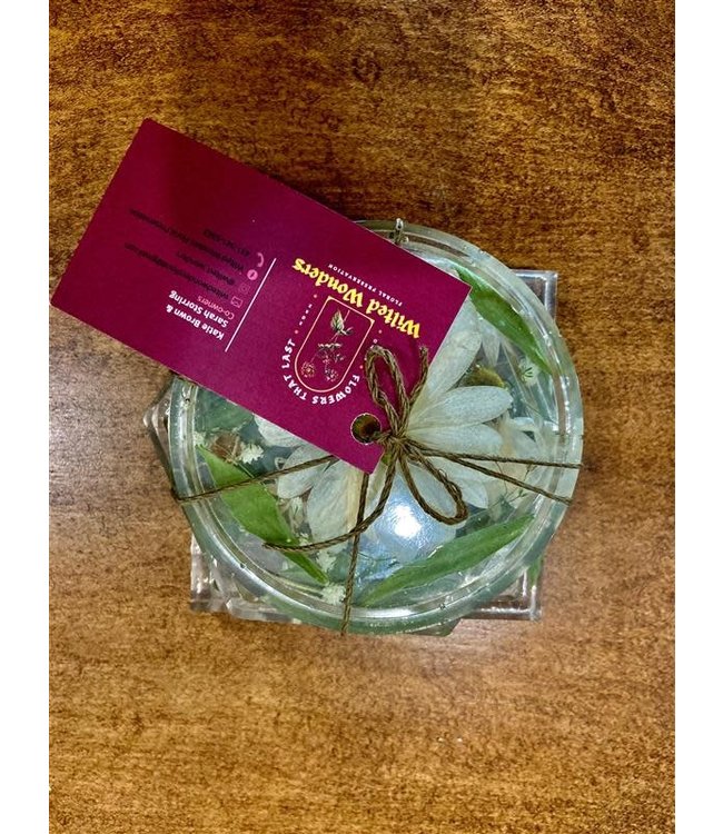 Wilted Wonders (C) Coasters- Set of Two - Livingstone Outdoor