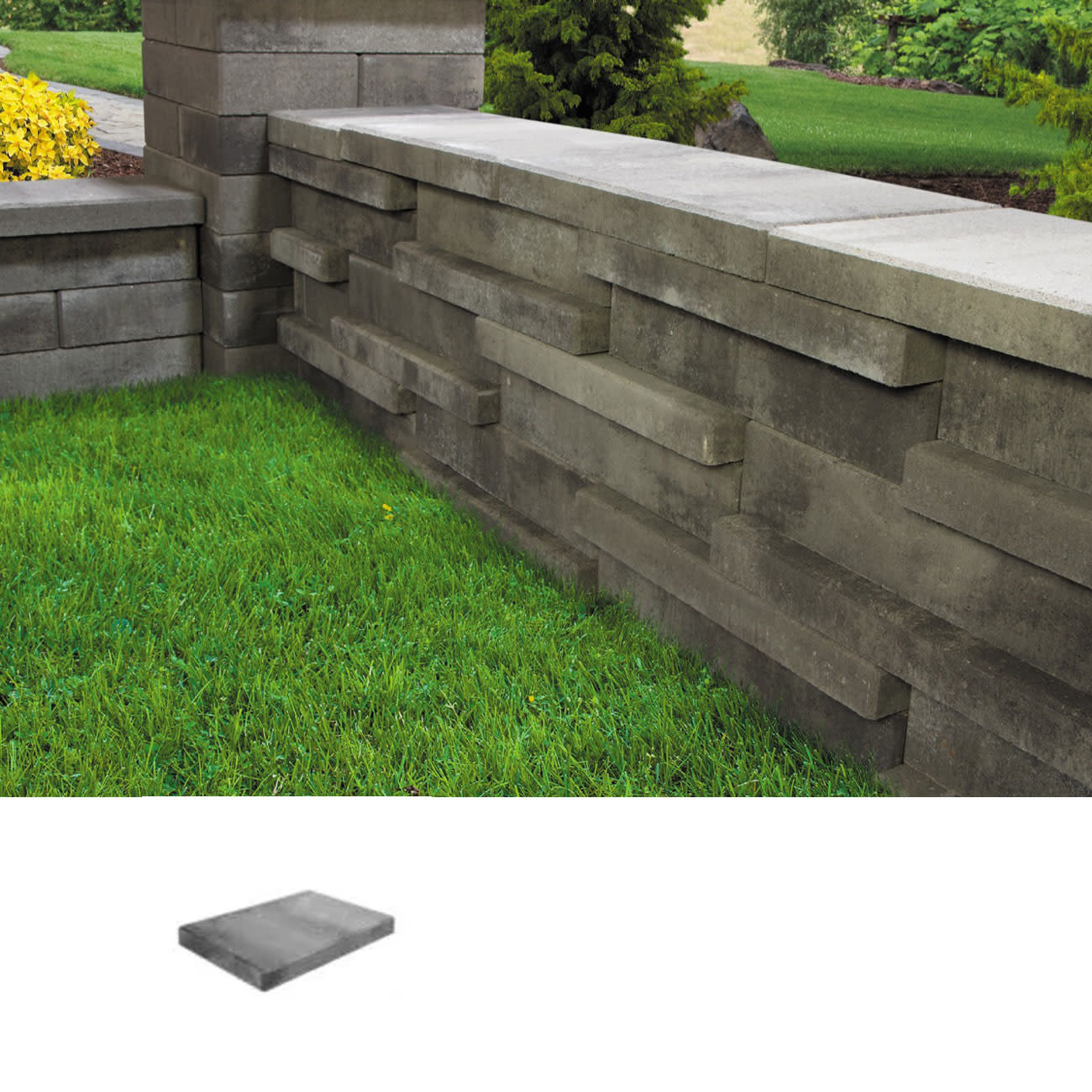 Belgard Melville Wall Cap (500 x 330 x 50 mm) - Livingstone Outdoor