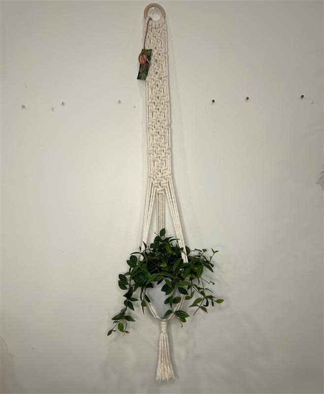 Long Neutral Plant Hanger - Livingstone Outdoor
