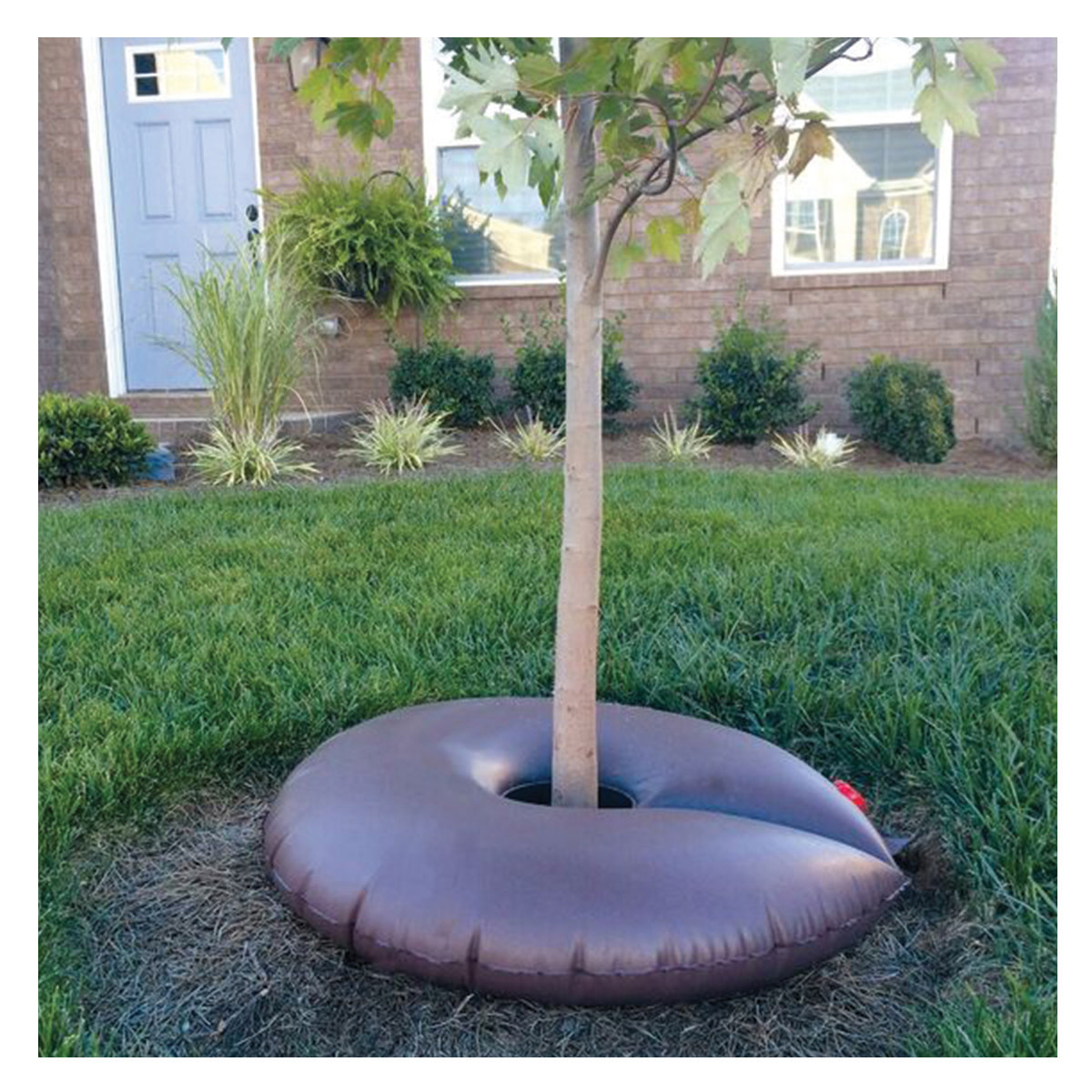 Dew Right Tree Water Bag Donut - Livingstone Outdoor