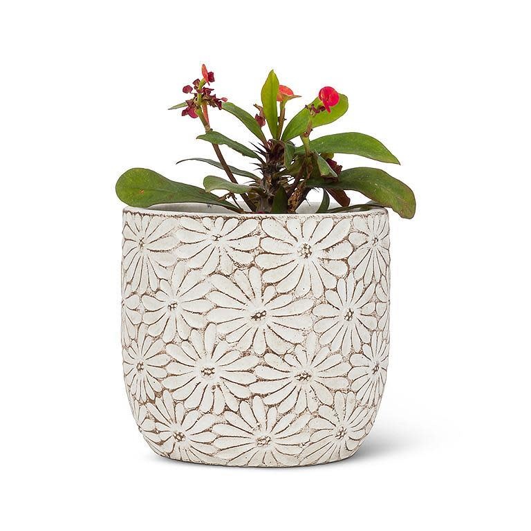 Small Round Daisy Planter - Livingstone Outdoor