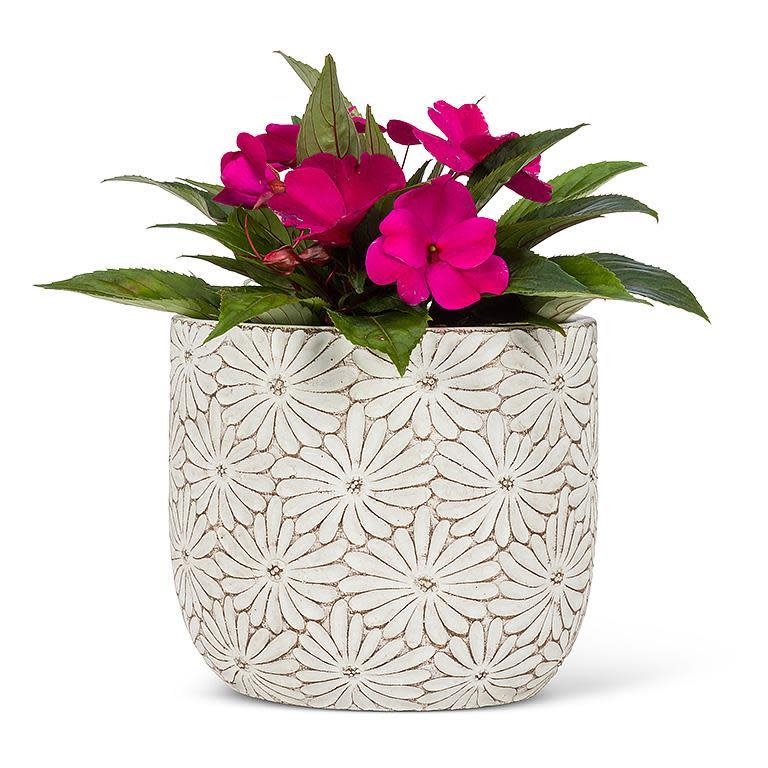 Large Round Daisy Planter - Livingstone Outdoor