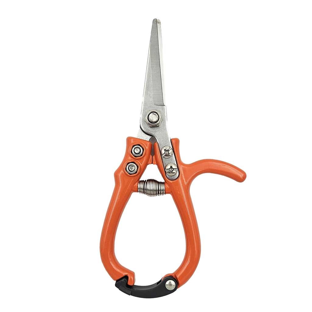 Floral Snip - Livingstone Outdoor