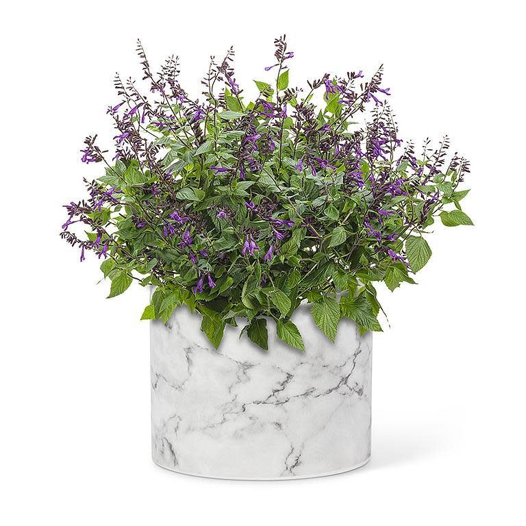 Small Marble Look Planter - Livingstone Outdoor