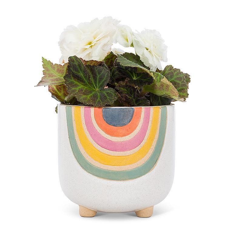 Large Rainbow Planter with Legs - Livingstone Outdoor