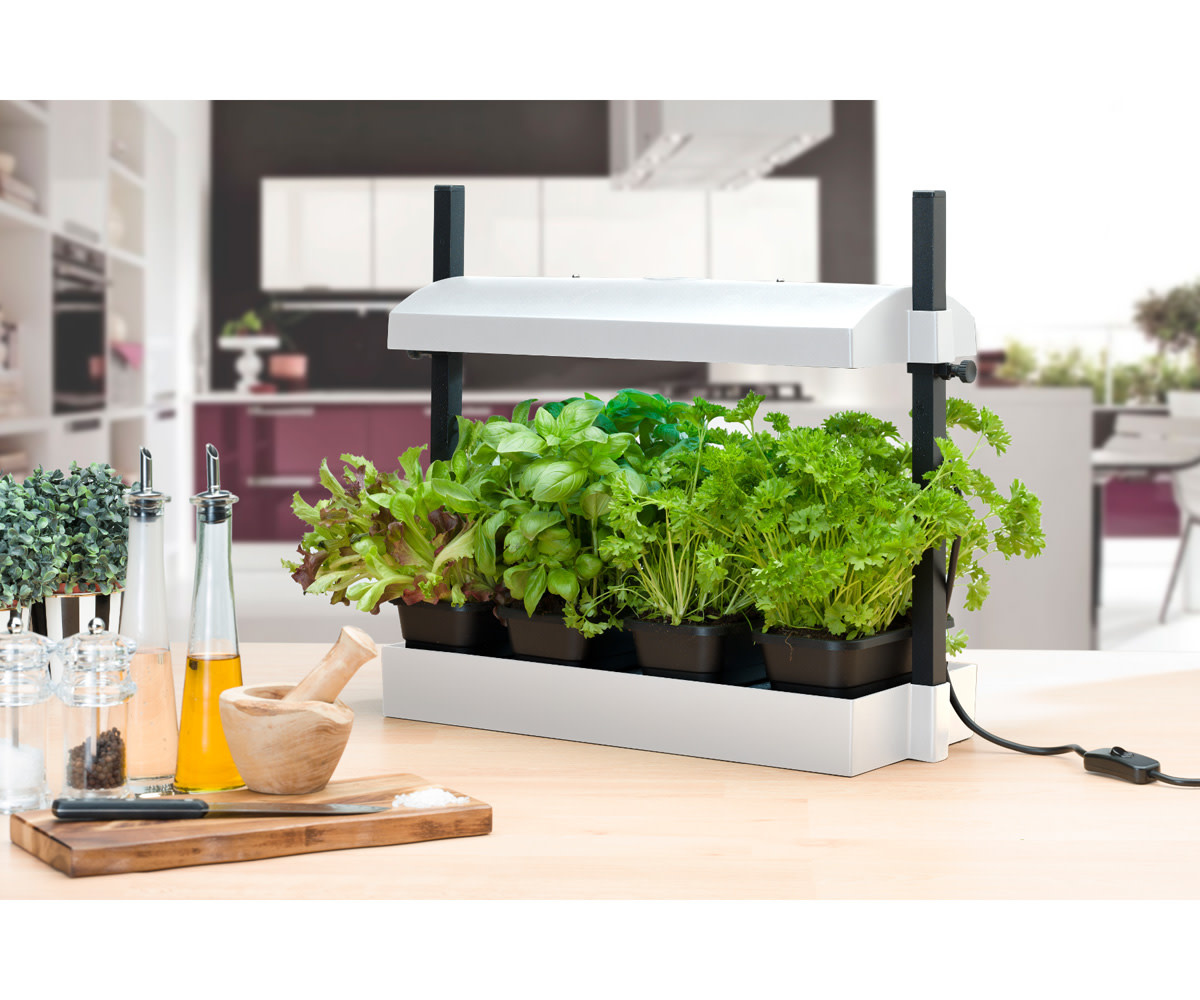 Growlight Garden Micro White - Livingstone Outdoor