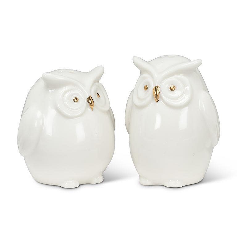 Abbott Collection Owl Salt & Pepper Shaker - Livingstone Outdoor