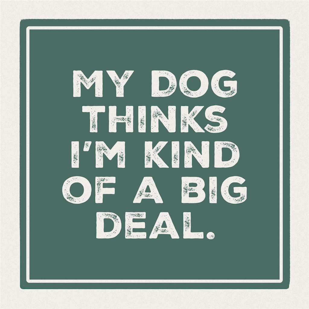 Carson Home & Gift Coaster 4" Sq Big Deal - Livingstone Outdoor