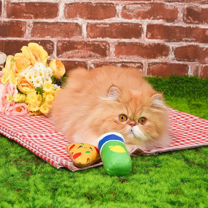 Kitten Party | Pizza & Soda - Cat Toy - Livingstone Outdoor