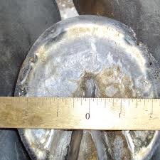 FootPro Brass Hoof Ruler - Total Equine Supplies Ltd.