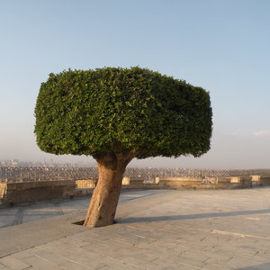 Growers Outlet Nursery & Garden Center - Growers Outlet Willis Texas