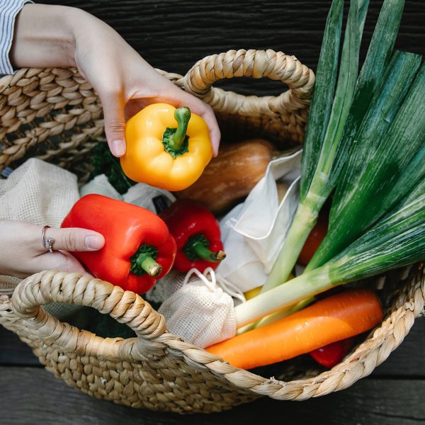 Growers Outlet Nursery & Garden Center - Growers Outlet Willis Texas