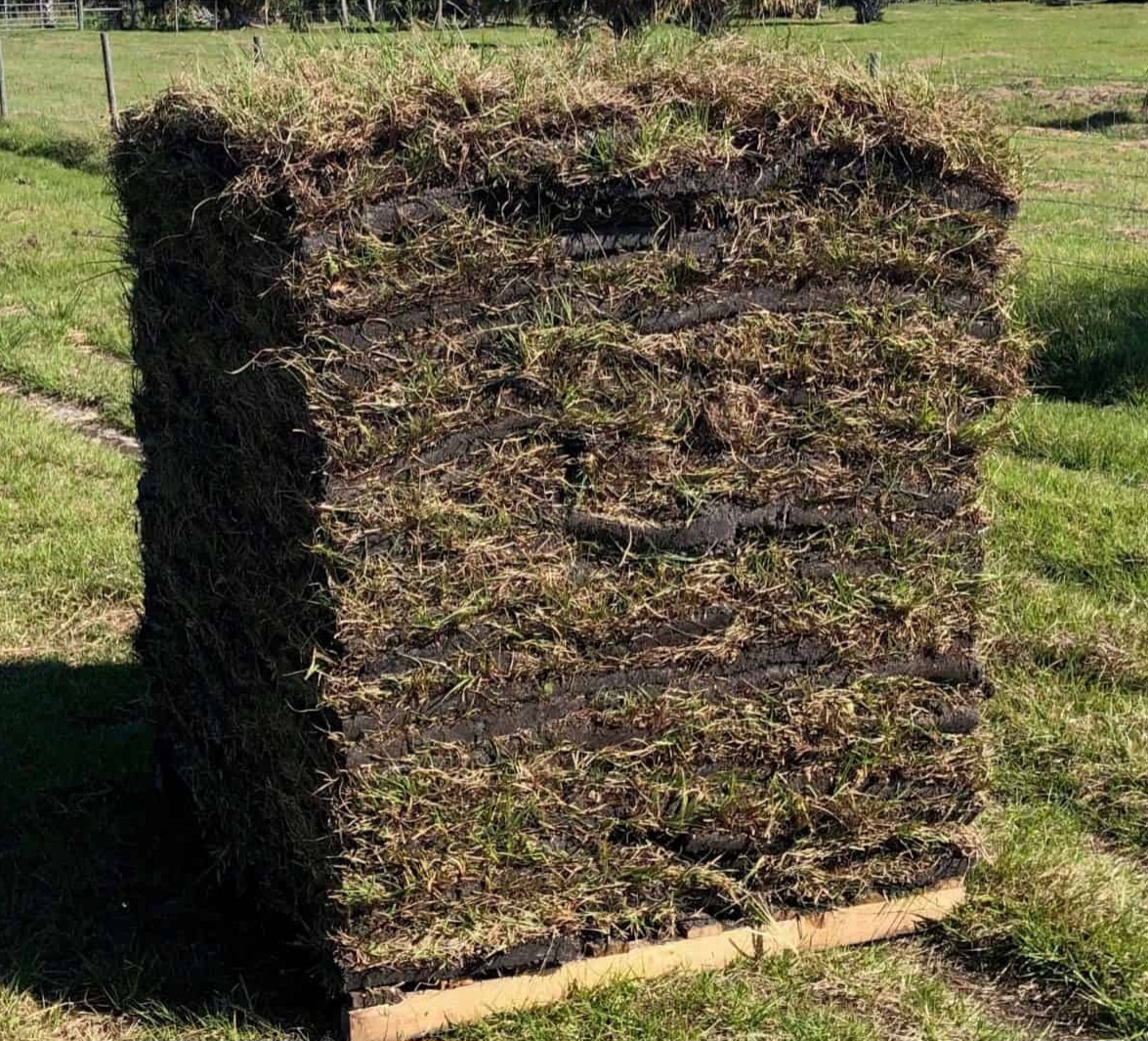 SOD, 'PIECE' - Growers Outlet Willis Texas SOD, 'PIECE' - Growers Outlet Willis Texas