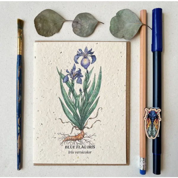 My Muses Card Shop - My Muses Card Shop