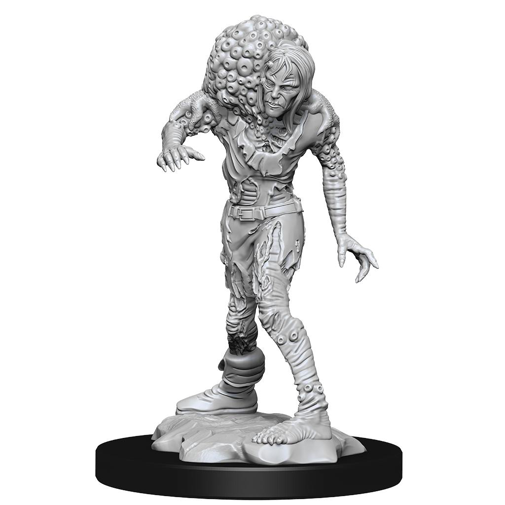 DND UNPAINTED MINIS DROWNED ASSASSIN/ASETIC | Tome 2