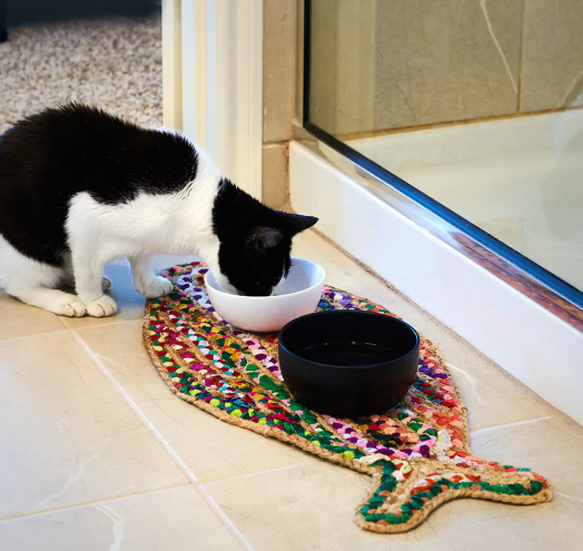 Chindi Blend Fish Rug - Villages Calgary