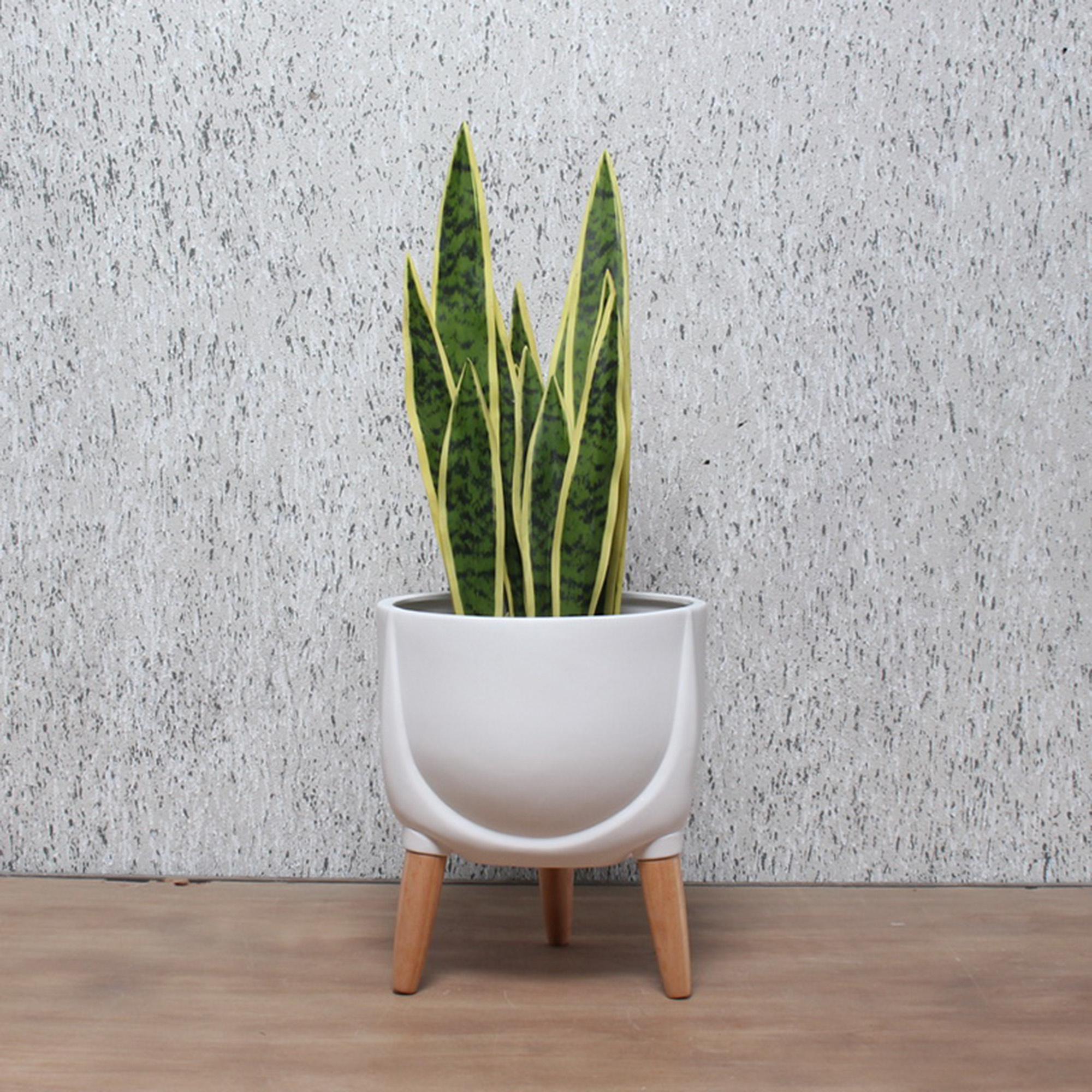 Planter Cathay Lindsay Matte White | Design Therapy - Design Therapy Inc.