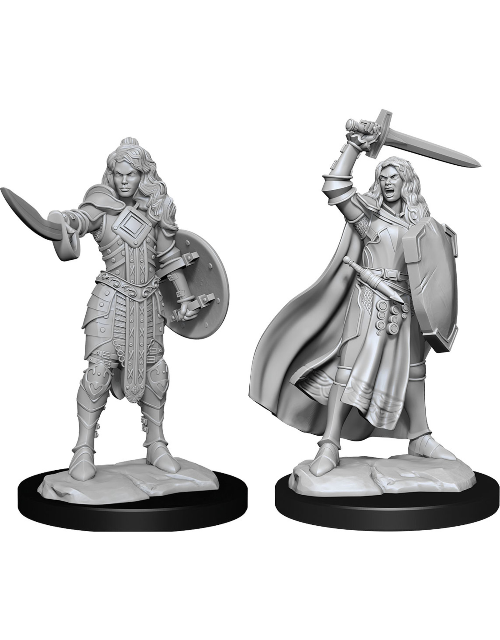 Wiz Kids Pathfinder DC : W14 Human Champion Female - Black Diamond Games