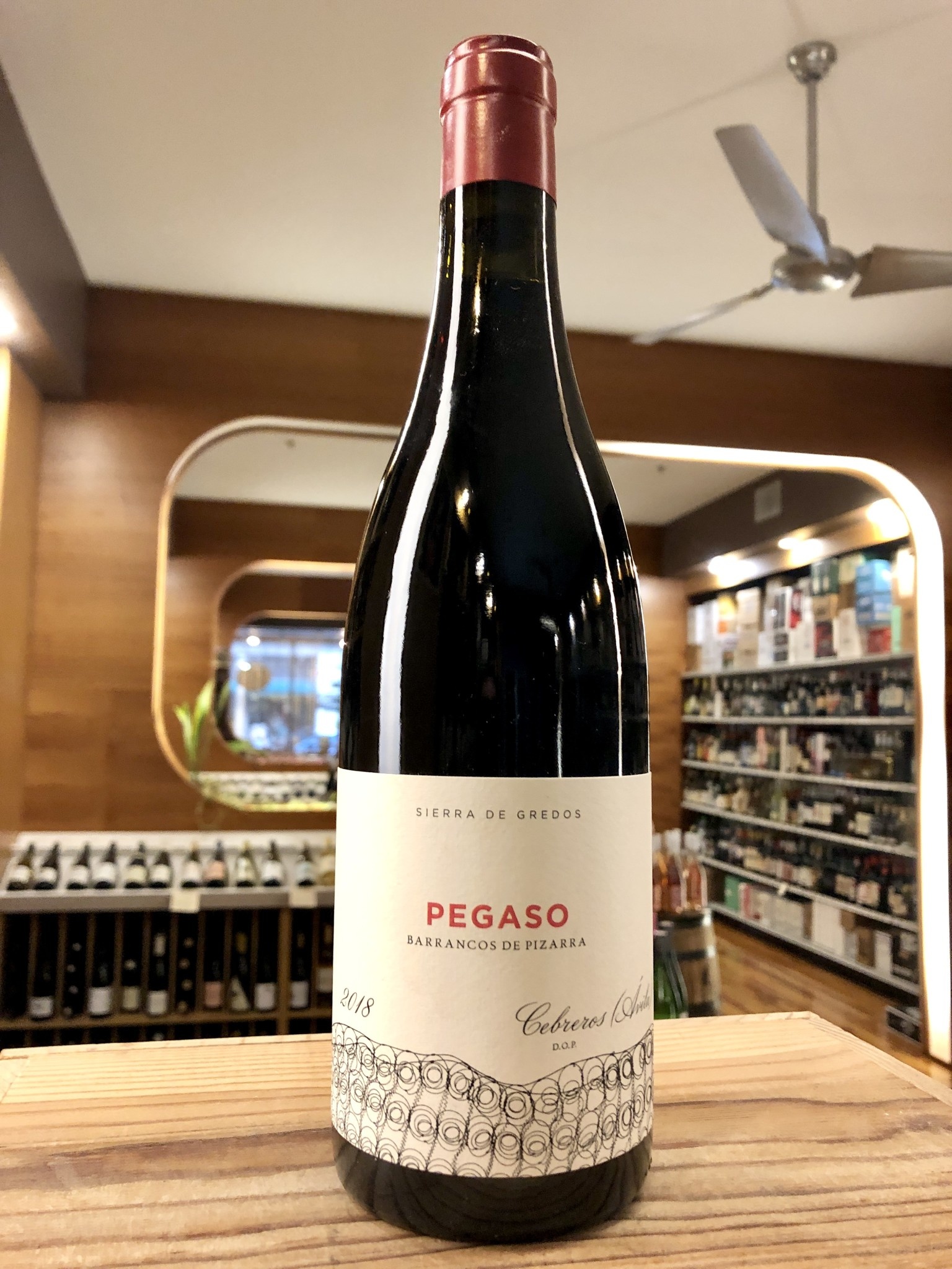 Pegaso Barrancos de Pizarra Cebreros - 750 ML - Downtown Wine + Spirits