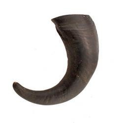 Premium Natural Water Buffalo Horn - Howl