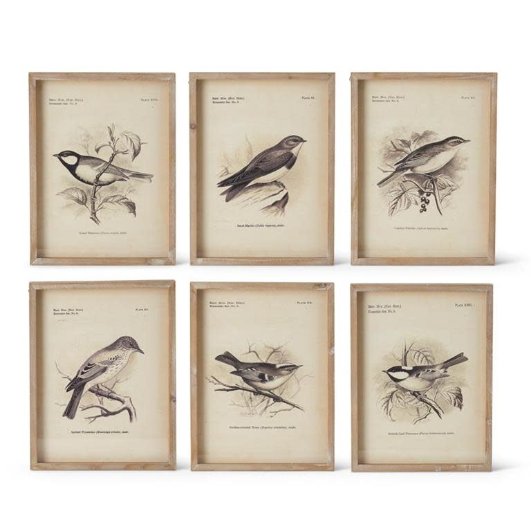 Assorted 15.75 Brown Wood Framed Bird Prints (6 Styles) Each 17910A ...