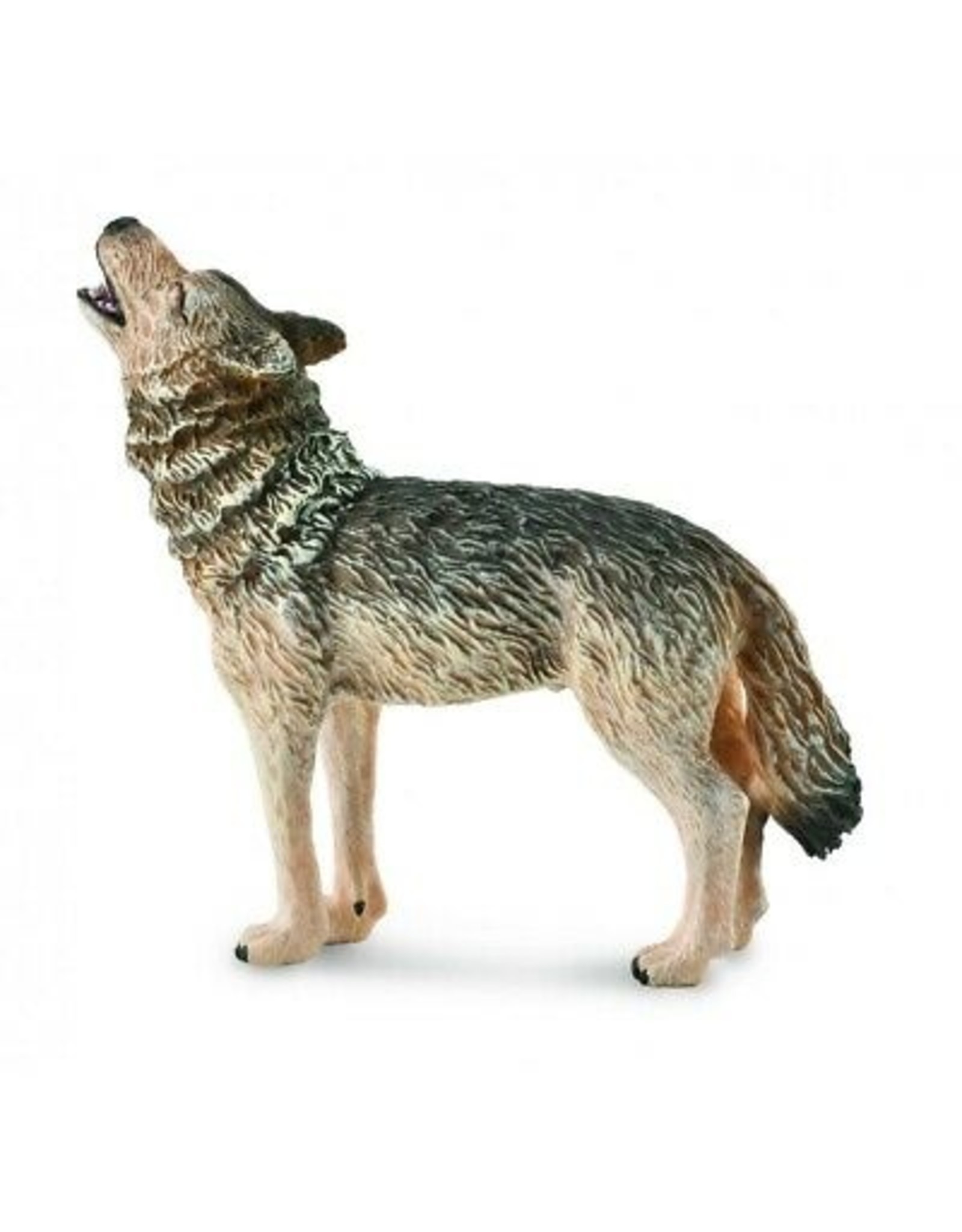 Timber Wolf Howling - PLAYNOW!