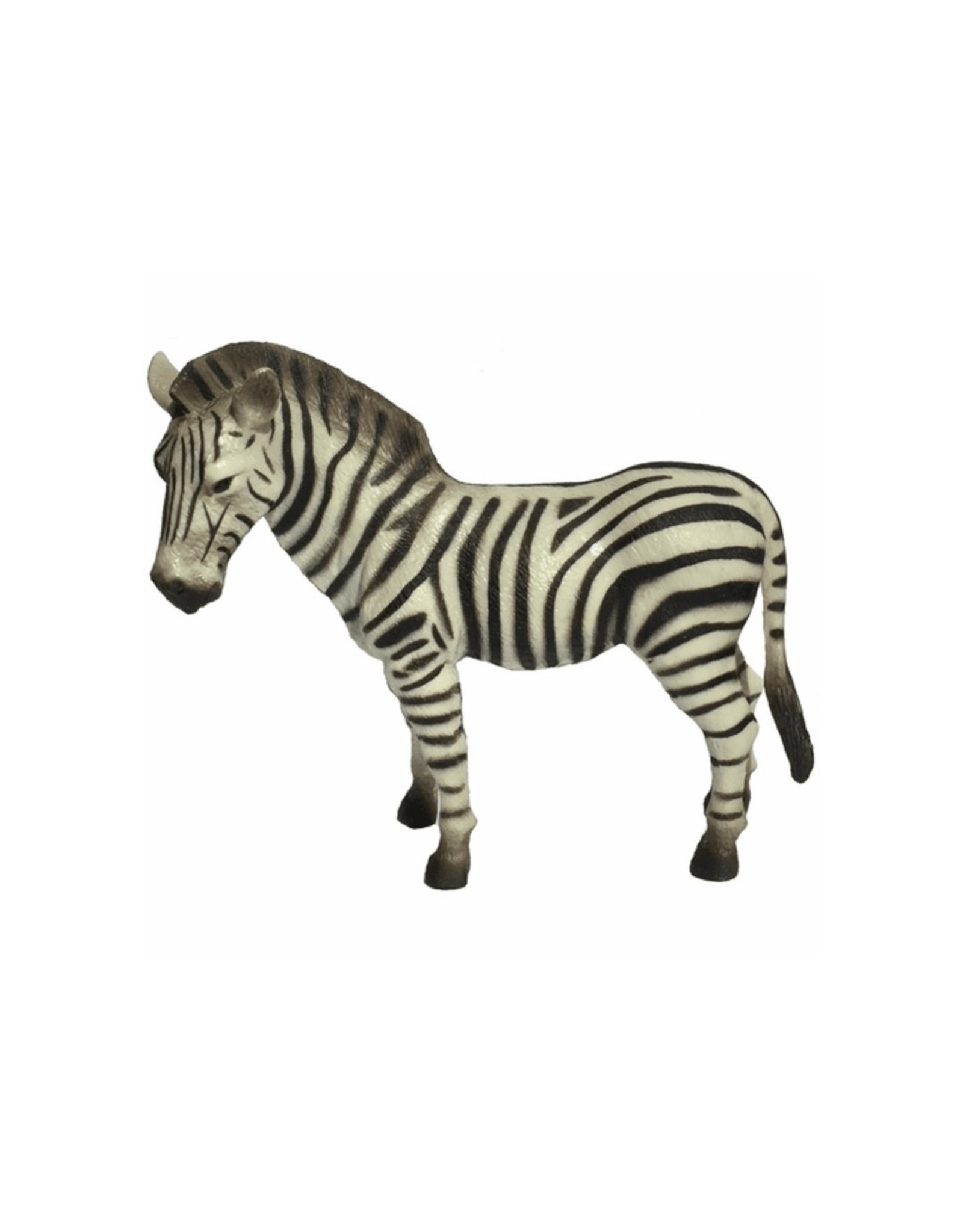 Common Zebra - PLAYNOW!