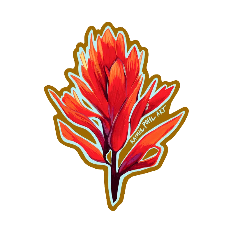 NoSo Floral Patch - Ski West