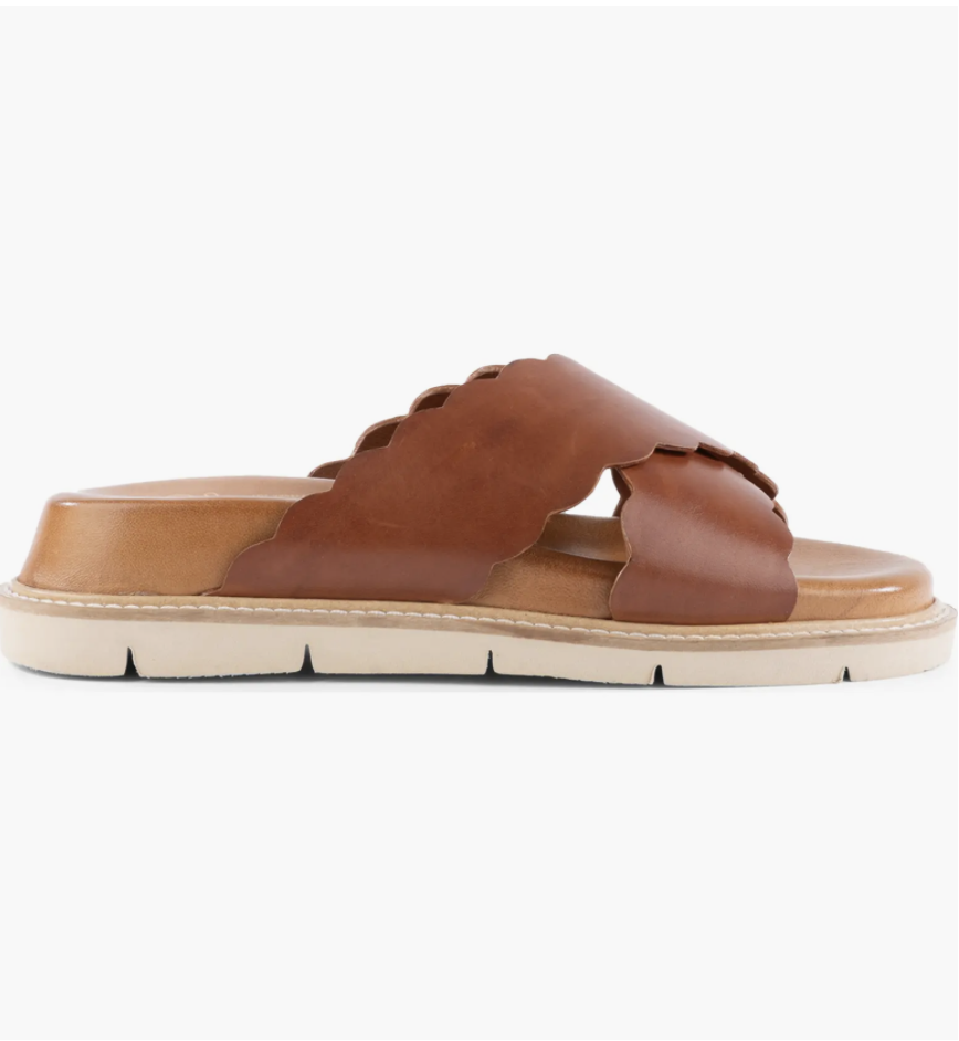 Seychelles Woodstock Sandal - Bootery Boutique