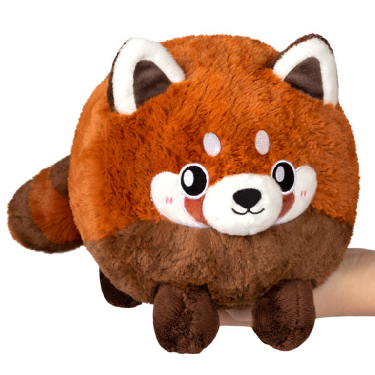 Fluffy Baby Red Panda