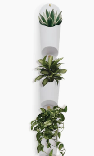 Floralink Wall Vessel - Matters of Design Inc.