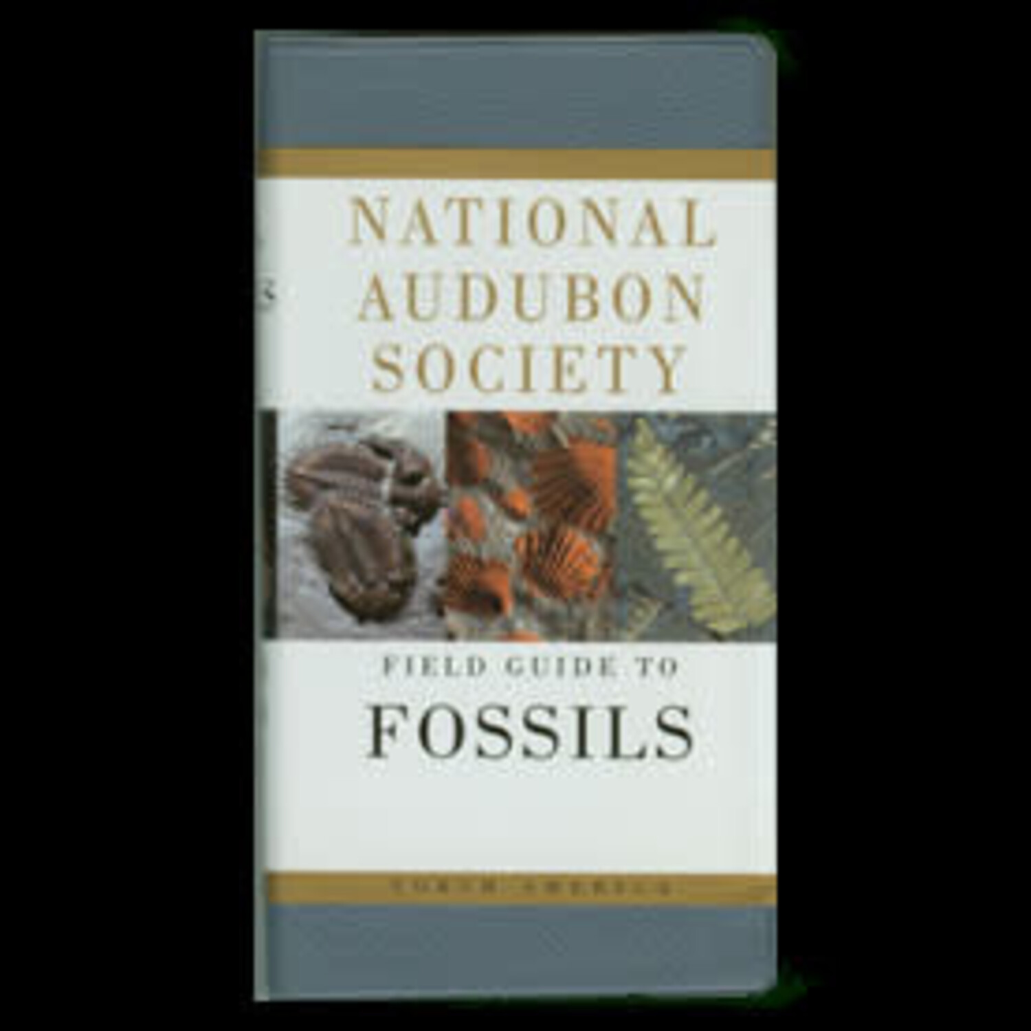 National Audubon Society Field Guide to Fossils - Mama's Minerals
