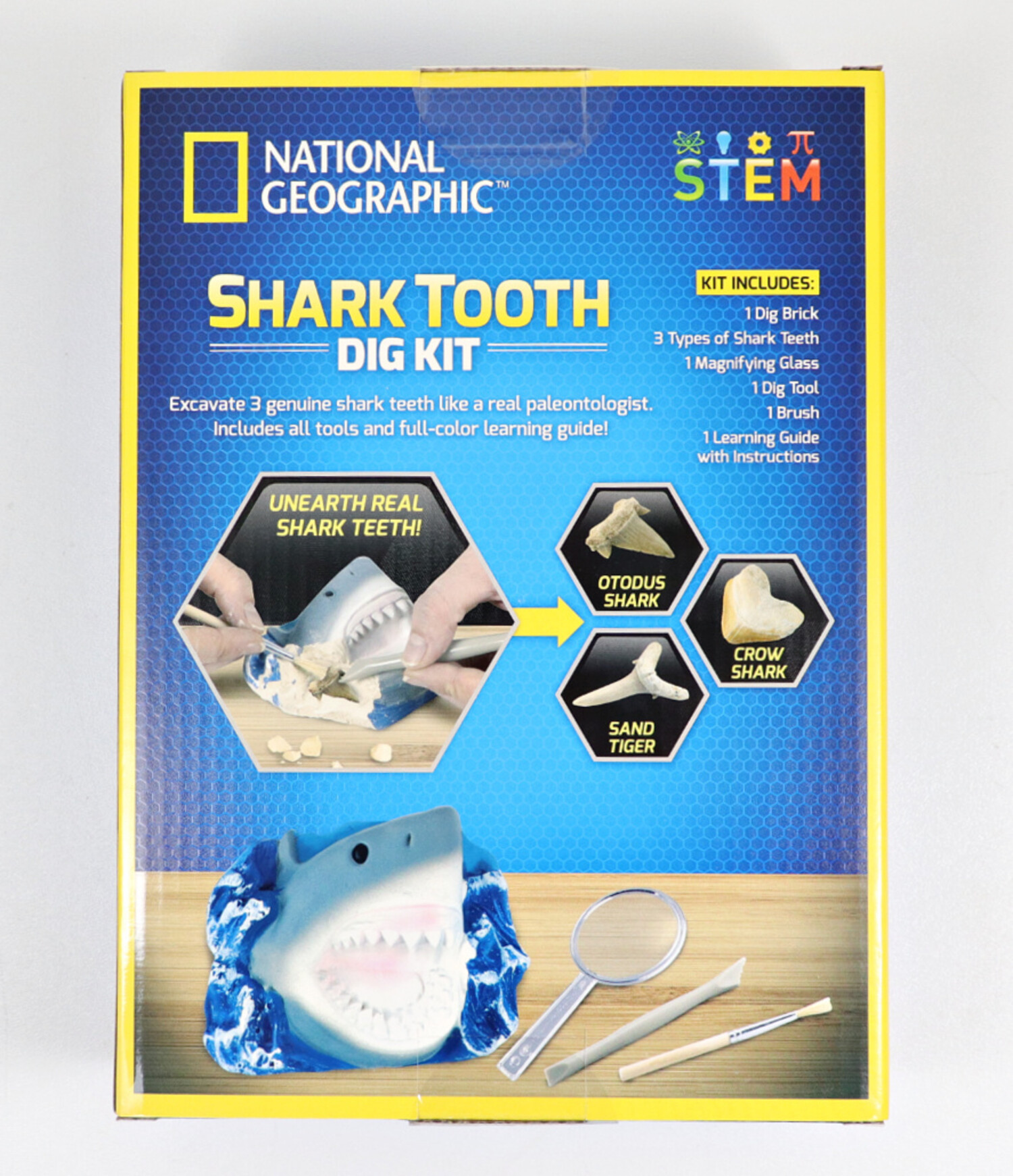 Shark Teeth Dig Kit - Mama's Minerals