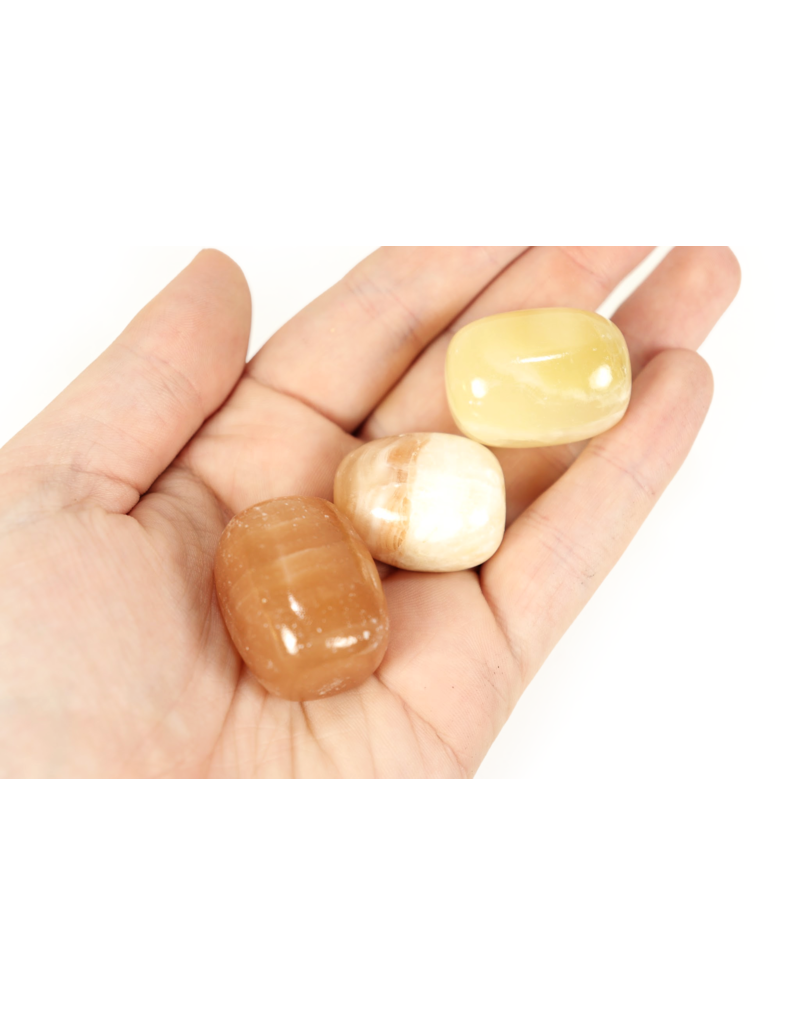 Calcite Honey Pakistan Tumbled 21-35g - Mama's Minerals