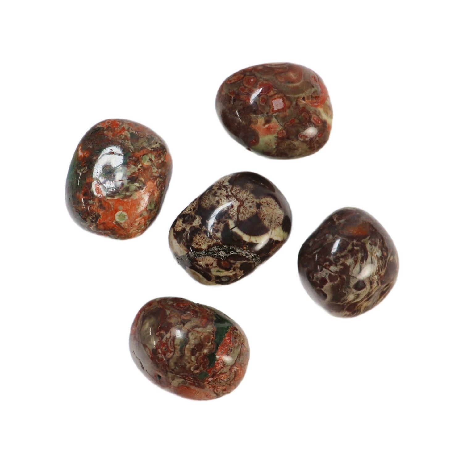 Multi Color Spiderweb Agate Tumbled 1" - Mama's Minerals