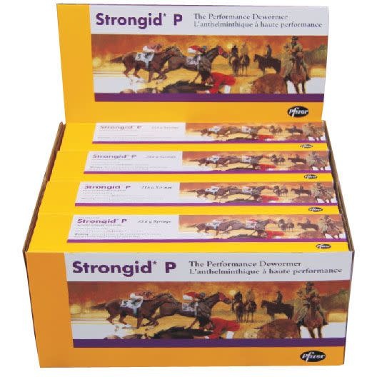 Strongid Paste - Northern Pet Emporium