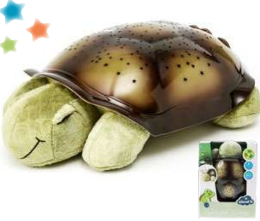 TWILIGHT TURTLE® CLASSIC - Circle of Knowledge