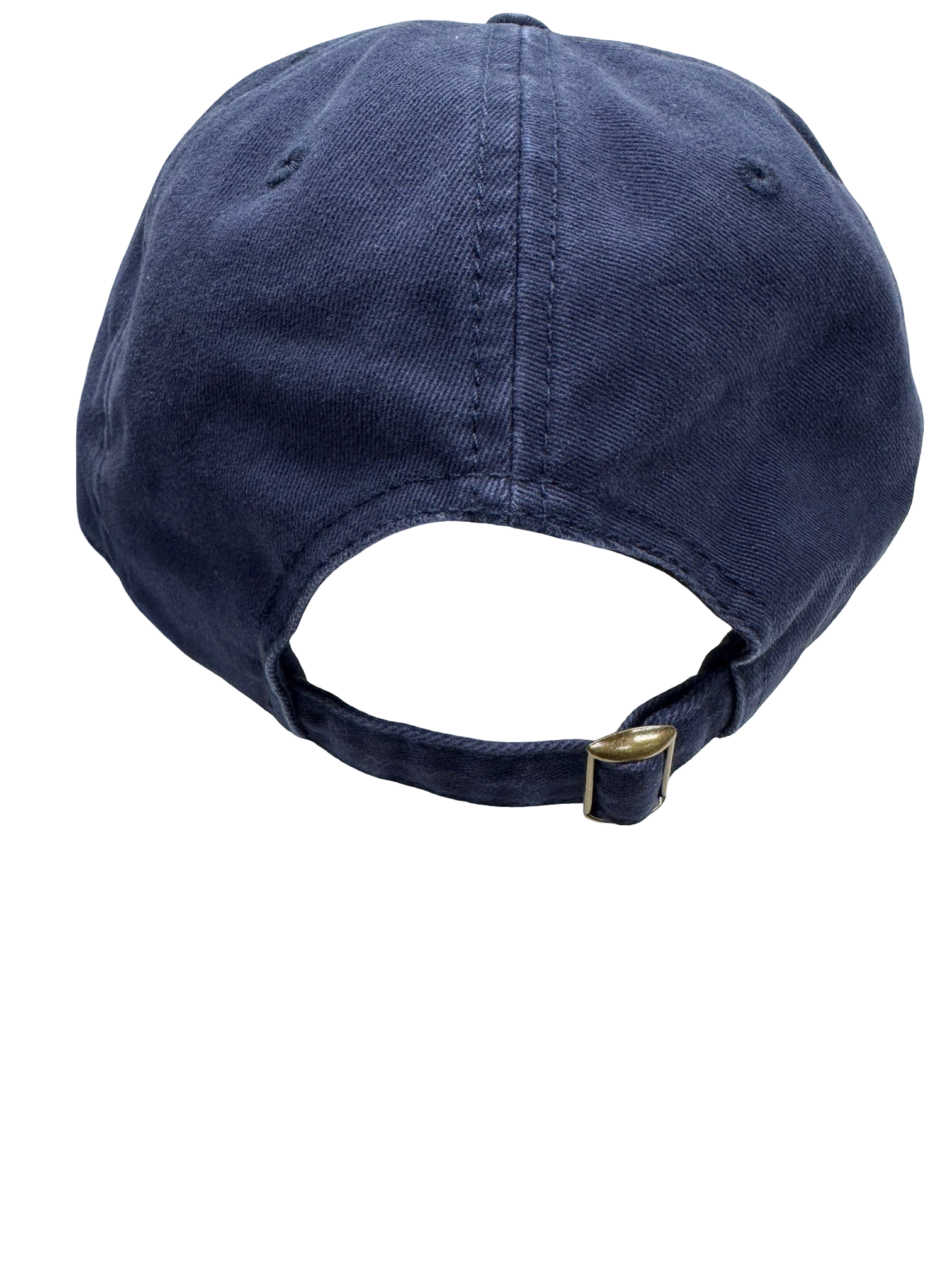 BART Train Dad Cap - Railgoods