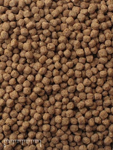 Mazuri Koi Platinum Nuggets - Waimanalo Feed Supply