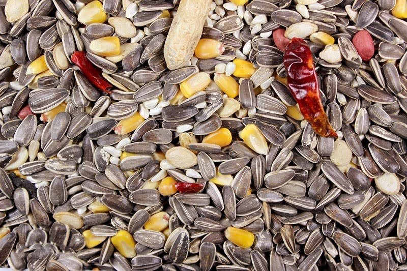 Parrot Mix - Waimanalo Feed Supply