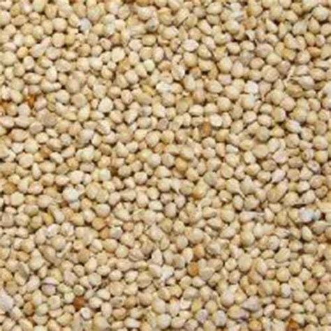 White Millet - Waimanalo Feed Supply