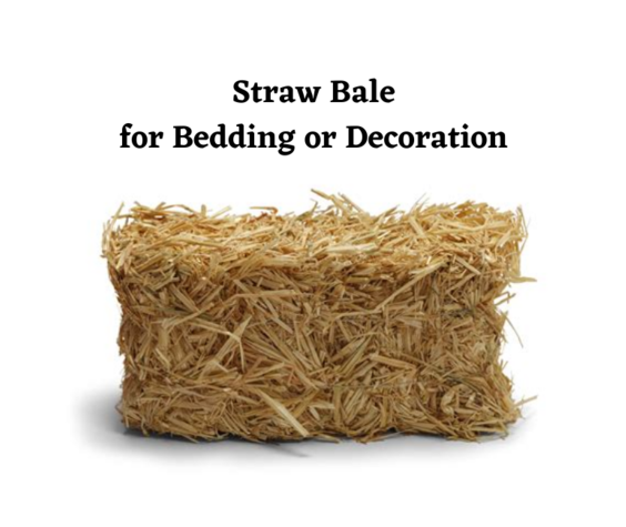 Waimanalo Feed Supply - Waimanalo Feed Supply