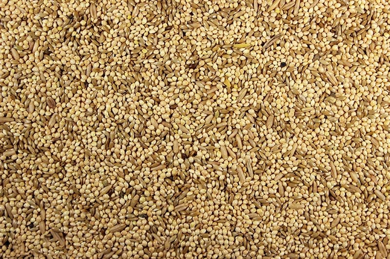 Parakeet 42% Mix - Waimanalo Feed Supply