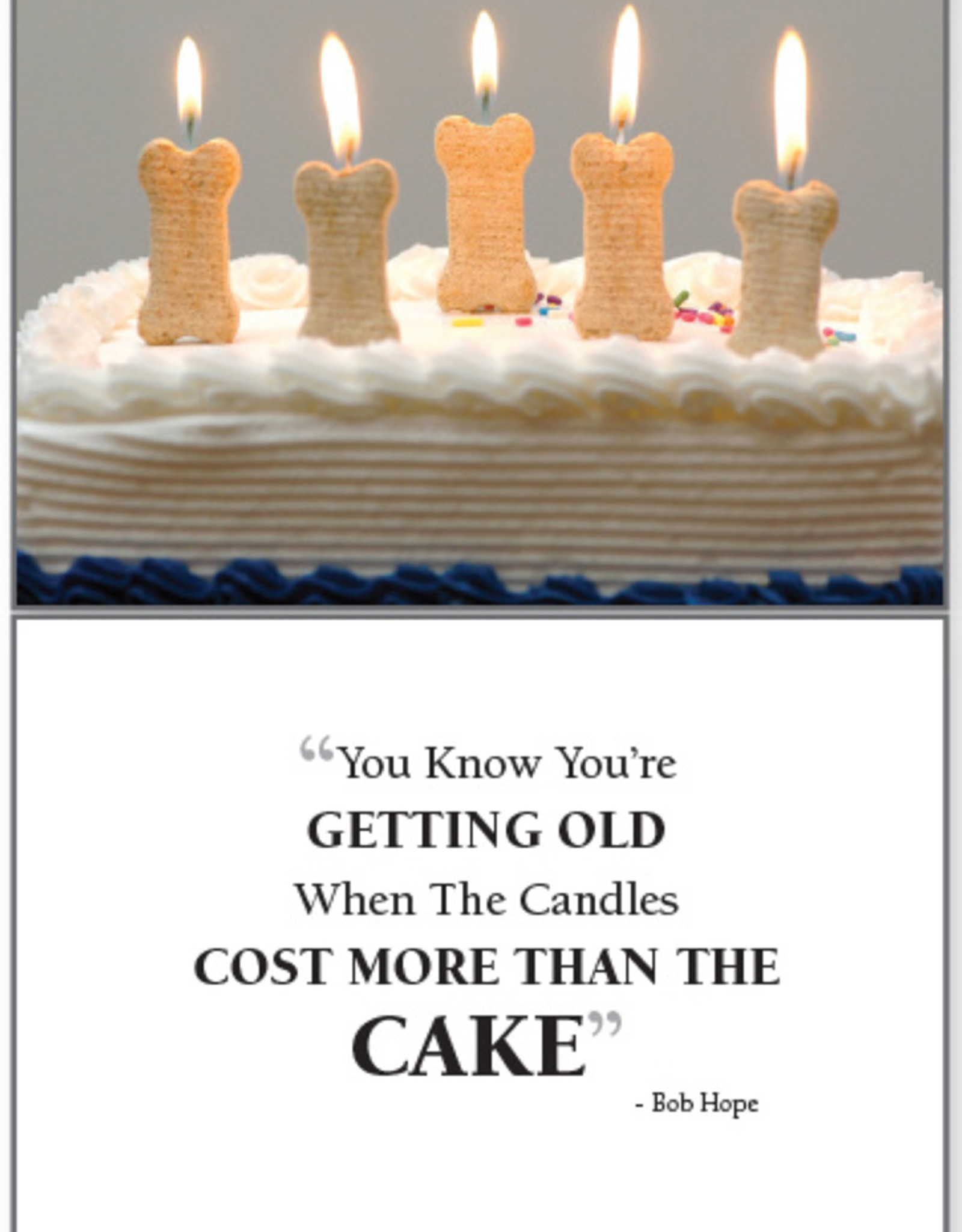 Dog Bones Birthday Day Cake Birthday Card | Cardsmart in Buffalo, NY ...