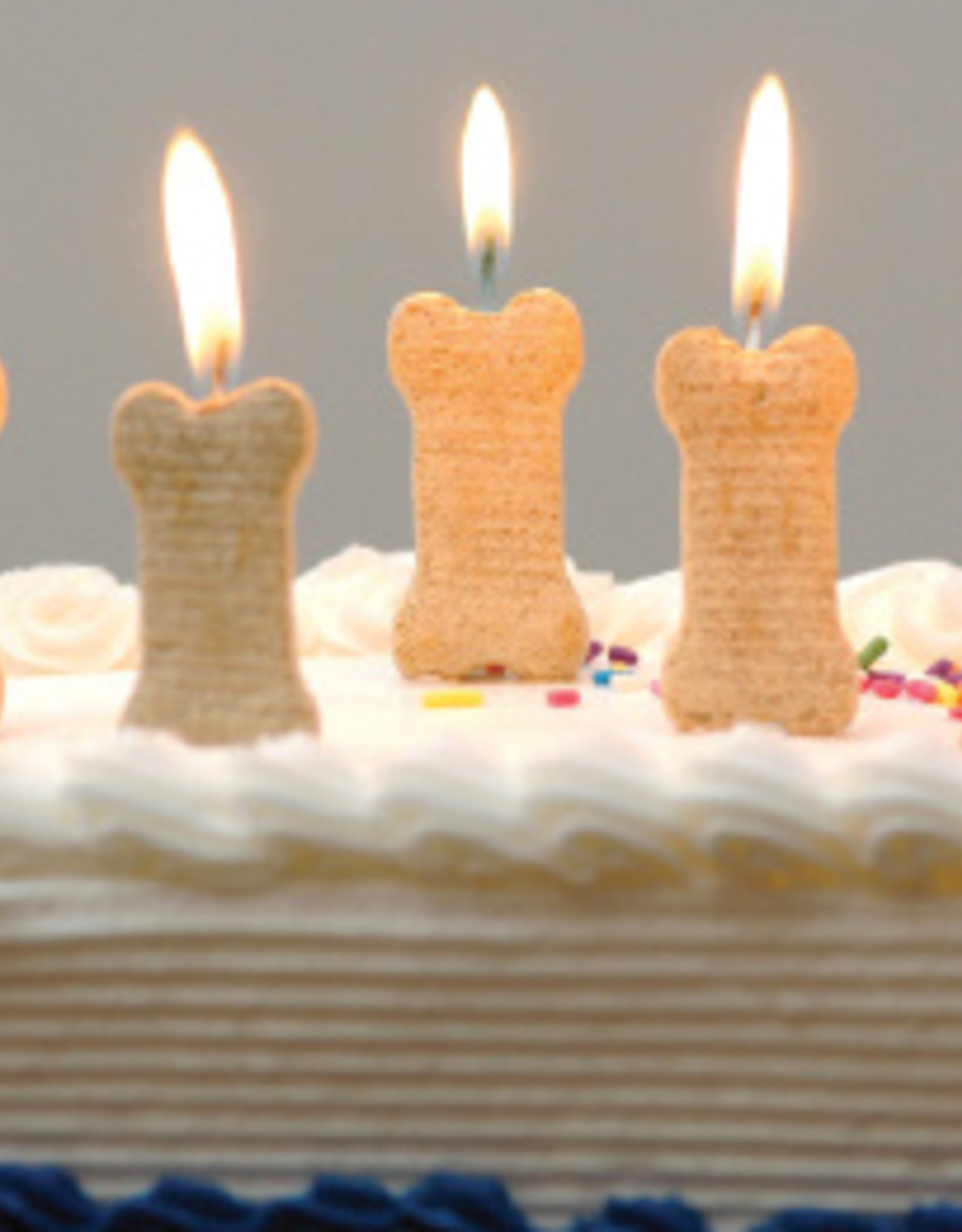 Dog Bones Birthday Day Cake Birthday Card | Cardsmart in Buffalo, NY ...